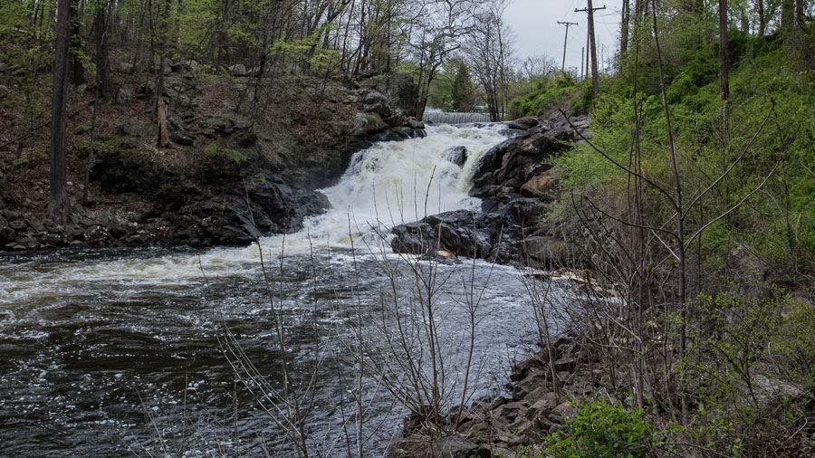 This Week in Northwest New Jersey