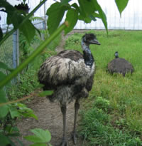 This Week in the New Jersey Skylands